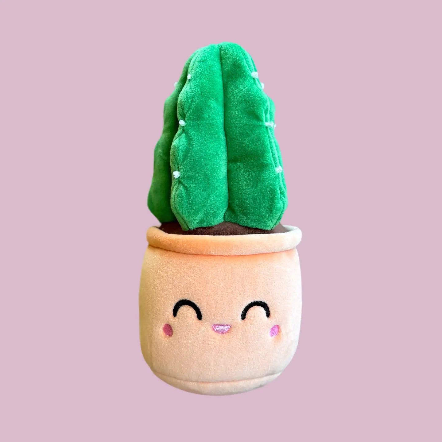 Cuddly Cactus Plushie – ApotheCharity